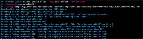 Create A Sql Server 2025 Container Vladdba