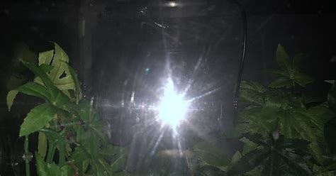 Probe Placement Album On Imgur