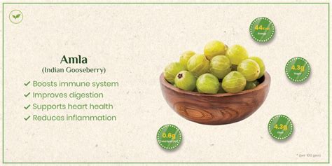 Amla Health Benefits How And When To Eat And Its Side Effects