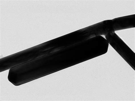 Mse Pro 10 Ml Gold Au Nanowire Dispersion Mse Supplies Llc