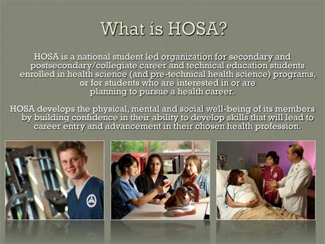 PPT - HOSA 101-The Basics PowerPoint Presentation, free download - ID ...