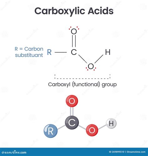 Carboxylic Acid Chemical Functional Group Scientific Vector
