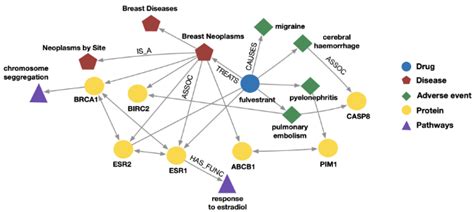 Examples Of Knowledge Graphs