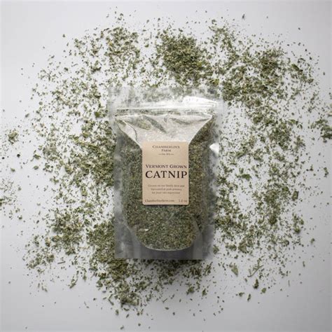 Dried Catnip Etsy