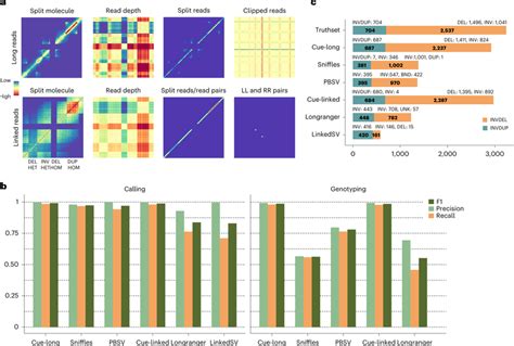 Extending Cue To Long And Linked Read Sequencing Platforms A Image Download Scientific Diagram