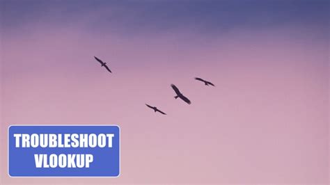 Excel Tips And Solutions Since 1998 Mrexcel Publishing