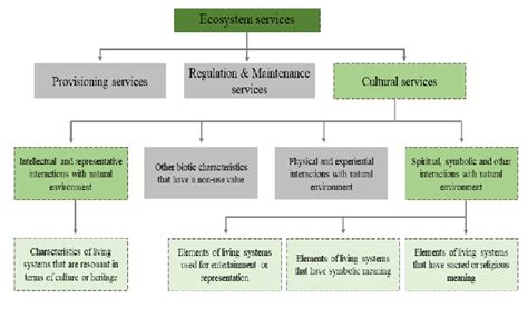 Scheme With The Researched Cultural Ecosystem Services In The Overall