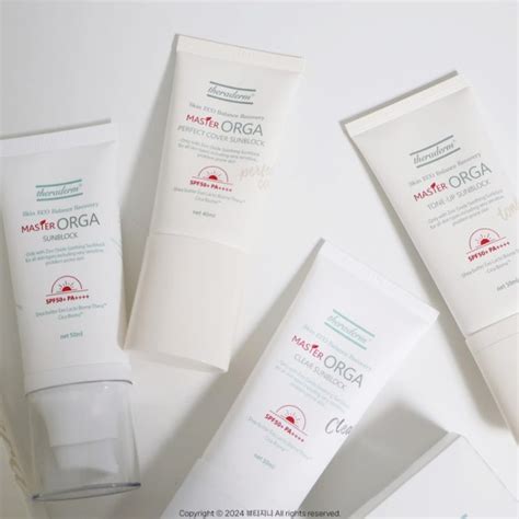 네이버 인플루언서