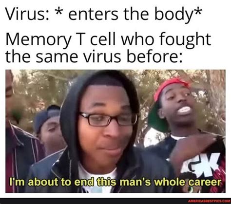 Virus Enters The Body Memory T Cell Who Fought The Same Virus