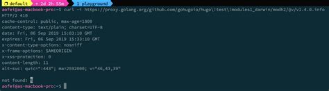 Proxy Golang Org Weird 410 Response Body Issue 34141 Golang Go GitHub