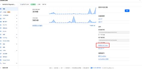 basic coding public network 基礎教學 架設外網 public network gitea git