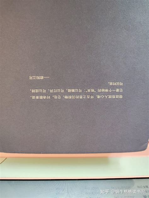 宿墨与量子男孩是一本诗集 知乎