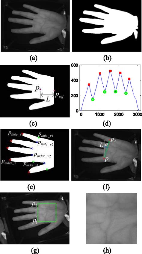 figure 1 from contactless palm vein recognition using a mutual foreground based local binary