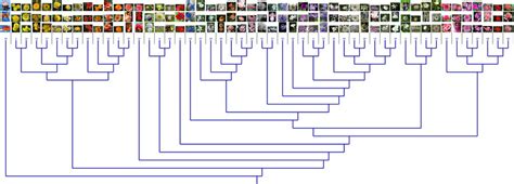 mapping of closest input images to corresponding gng units for a