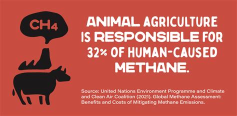 Why Cop27 Should Be Plant Based Plant Based Treaty