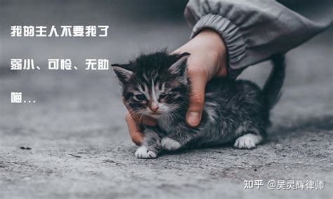 00后小美女职场遭遇末位淘汰制开除 宁波律师吴灵辉支招维权 知乎