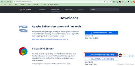 Windows下的subversion（svn）下载安装及配置 详细步骤subversion下载 Csdn博客
