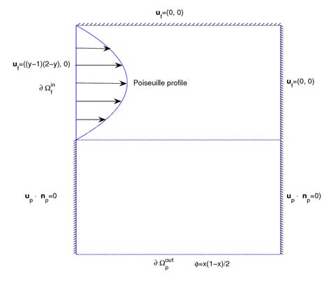 Boundary Conditions For The Coupled Stokes Darcy Model Download Scientific Diagram