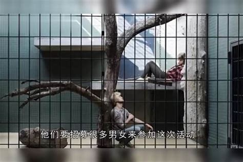 人类像动物一样被关笼子里共游客观赏满一年可得880万奖金 满一年 笼子 游客