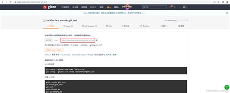Vscode使用git 【界面化处理】vscode Git Csdn博客