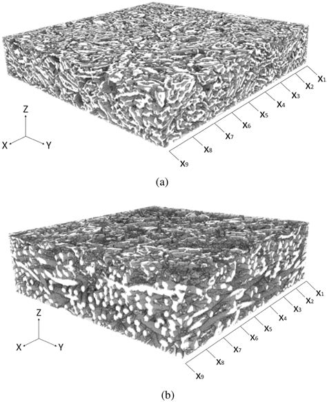 The Schematic Of The Scanned Segmented And Reconstructed Gdls To Be Download Scientific