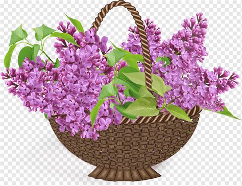 꽃 국제 노동자의 날 휴일 인사말 메모 카드 2018 5 월 부활절봄 2018 년 꽃을 잘라 부활절 Png Pngwing