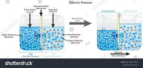 Osmotic Pressure