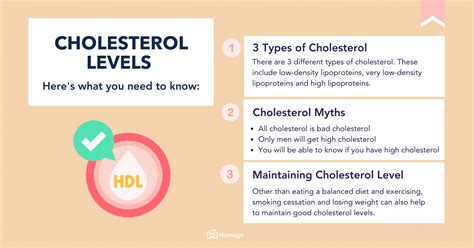 Hdl Vs Ldl Chart