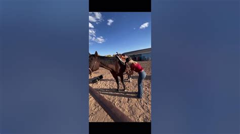 Saddling And Bridling Youtube