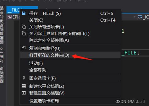 解决vs 下进行跨平台开发出现引用的头文件显示无法打开但是可以通过编译的问题 编程中国的博客