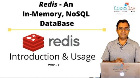 Introduction To Redis An In Memory Nosql Database Learn Understand And Start Using It In