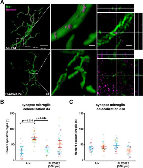 Partial Microglia Depletion By Low Dose Plx5622 Prevents Sepsis Induced Download Scientific