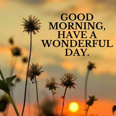 Good Morning Have A Wonderful Day Images