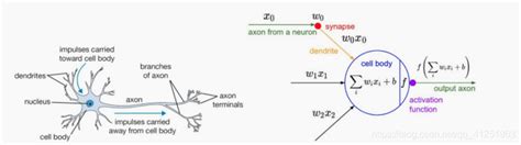 三pytorch——多层神经网络y 虃sigmoidwxb Lr Csdn博客