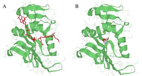 A The Experimental Co Crystal Structure Of Dihydrofolate Reductase B Download Scientific