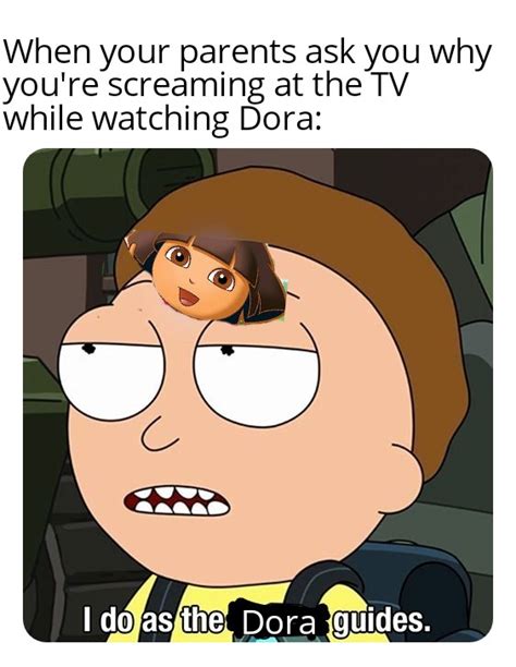 Swiper Stop Swiping R Memes