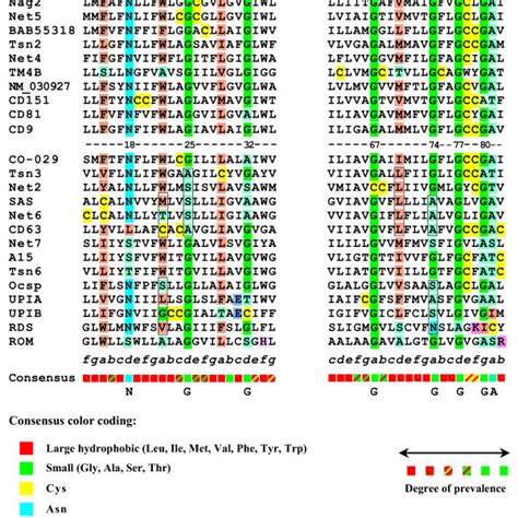 Sequence Alignment Of The Transmembrane Domains 3 And 4 Of 28 Human Download Scientific Diagram