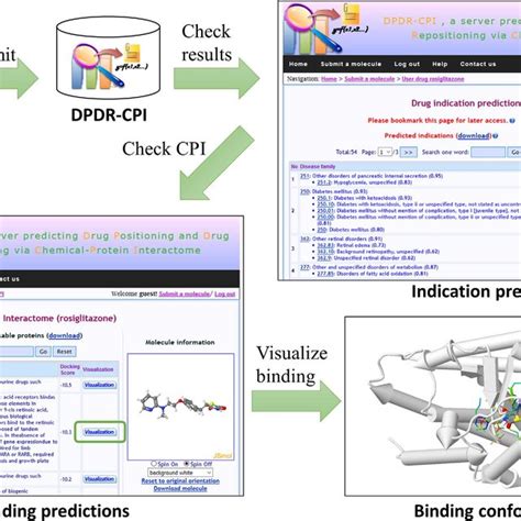 Workflow Of The Server The User Can Submit A Molecule In The Format Of