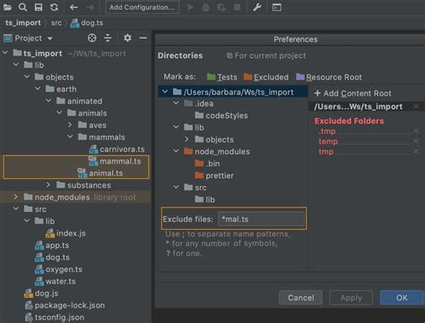 Configuring Project Structure Webstorm