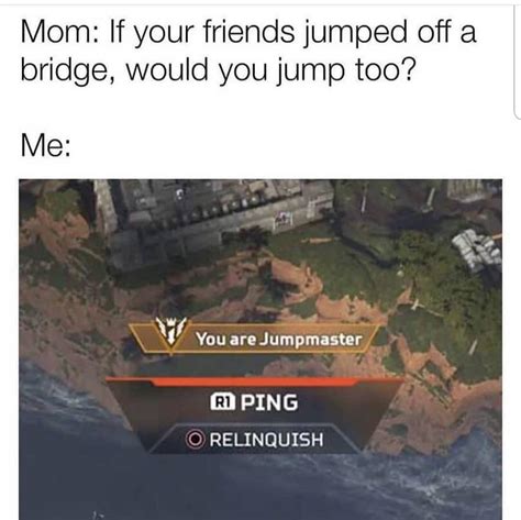 Mom If Your Friends Jumped Off A Bridge Would You Jump Too Me You