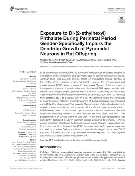 Pdf Exposure To Di 2 Ethylhexyl Phthalate During Perinatal Period