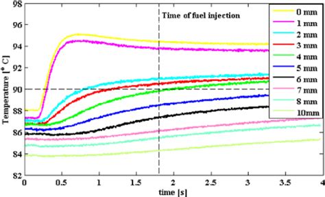 Injector Fuel Temperature Distribution At Different Locations Inside