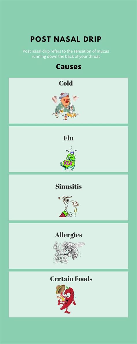 Post Nasal Drip Symptoms Causes And Solutions