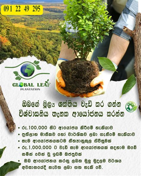 Global Leaf Plantation