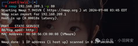 内网隐蔽扫描，nmap高级用法 Csdn博客