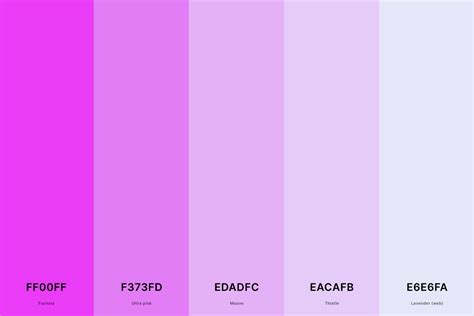 25 Best Magenta Color Palettes With Names And Hex Codes Artofit