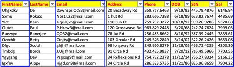 handling unique data using the python based fastdatamask package