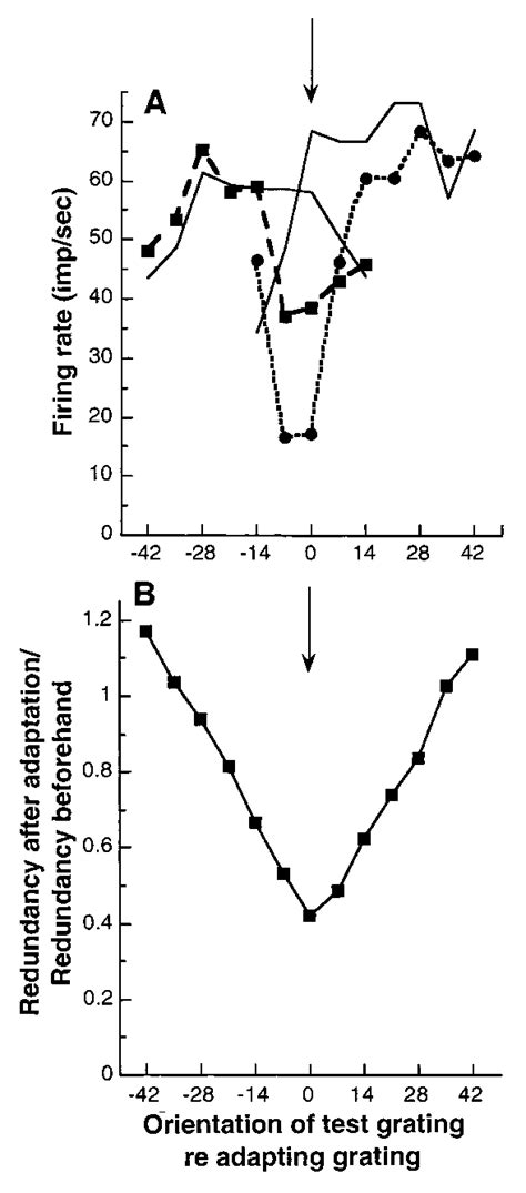 Adaptation Reduces The Correlation Among Responses Of A Population Of Download Scientific