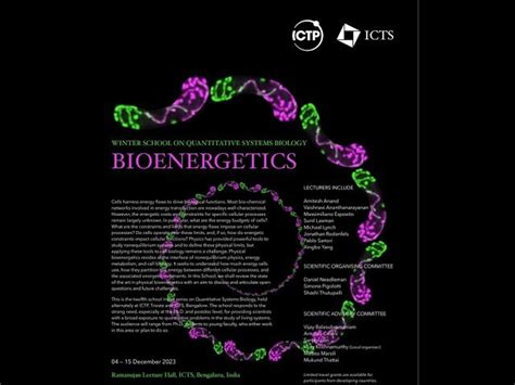 Free Video Resource Partitioning And Energy Metabolism From