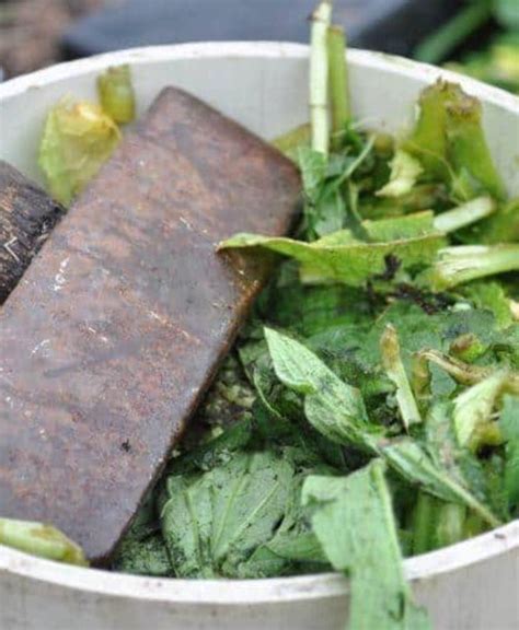 სახლი სიმწვანეში Added A New Photo სახლი სიმწვანეში